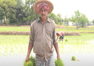 Reliance Foundation - Aiding India's Sustainable Development